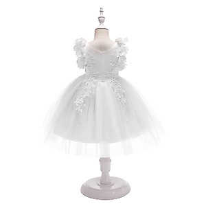 Weileenice Easter White Flower Girl Lace Embroidery Dress 2 3 Kids Baptism Birthday Church Wedding Party Pageant Princess Ball Gown Christmas Little Girls Formal Prom Tutu Tulle Dresses New Year