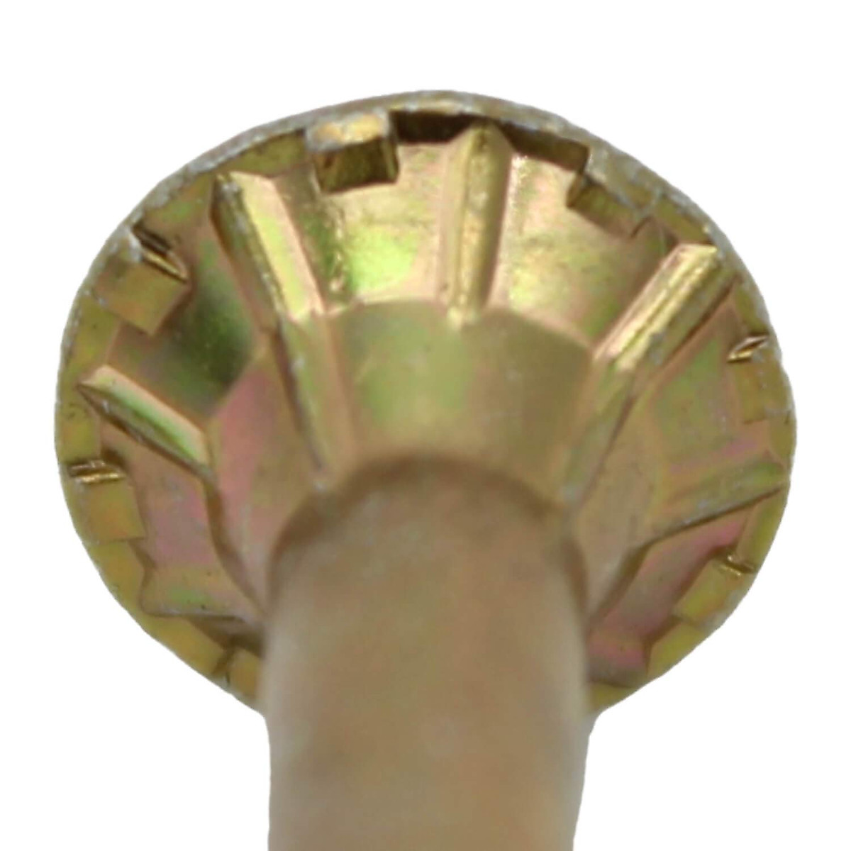 Jake Sales #10 X 6 Gold Star Wood Screw Torx/Star Drive Flat Head (1 Pound - 33 Approx. Screw Count) - Multipurpose Torx/Star Drive Wood Screws