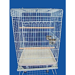 Large 57-Inch Open Square Plays Top Parrot Lovebird Cockatiel Cockatiels Parakeets Cage with Removable Rolling Stand