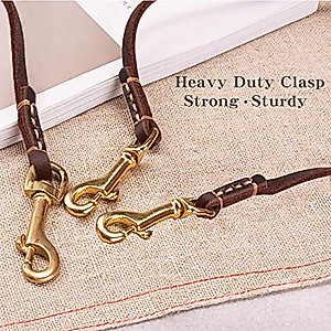 HiCaptain Thin Leather Pet Leash, Durable Dog Leashes Suit for Small Dog Up to 15 lb 00(1/5 inch Wide, 6 Ft) Brown