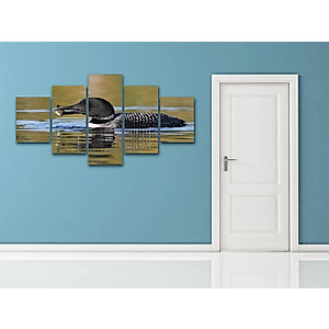 Large Canvas Print 5 Panels Art Wall Paintings Common Loon Catching a Pumpkinseed Sunfish Stretched Framed Wall Poster Picture on Canvas Home Decor - 60x32 Inch Total