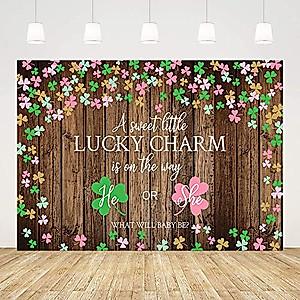MEHOFOND Lucky Charm Gender Reveal Backdrop St. Patrick's Day Baby Shower Party Decor Banner Supplies Pink or Green Shamrock Clover Background Cake Table Studio Photo Prop Vinyl 7x5ft