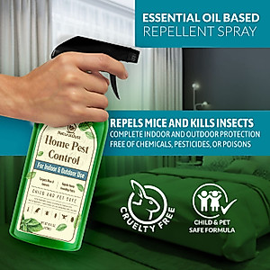 NATURAL OUST Peppermint Oil Mouse Repellent Spray - Roach Ant Spider Bug Insect Killer - Eco Friendly Pest Control to Repel Mice - Humane Repeller Alternative to Trap
