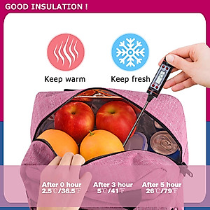 Lunch Bag for Men & Women Insulated Lunch Bags Large Box for Work Adult Reusable Lunch boxes Cooler Tote (Pink)