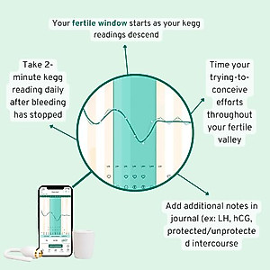 kegg Fertility Tracker + Free Fertility App | 12-Month Pregnancy Warranty | No Recurring Costs | Predicts Fertile Window | Helps Exercise Pelvic Floor Muscles
