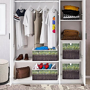 QUGRL Fresh Green Soybean Storage Bins Plants with Roots Foldable Storage Basket Fabric Storage Box Organizer for Clothes Toys Books Drawers Under Bed 15.75 x 10.63in