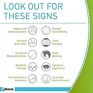 Vetoquinol Zylkene Equine Behavior Support Horse Supplement Powder 2000mg, 20ct