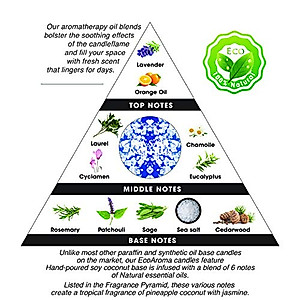 EcoAroma Sea Salt & Citrus Scented Organic Coco-Soy Jar Candles Hand Poured Natural Flower Extracted Fragrance Oils Botanical Candles for Aromatherapy Home Scent & Xmas Gifts 12 Oz