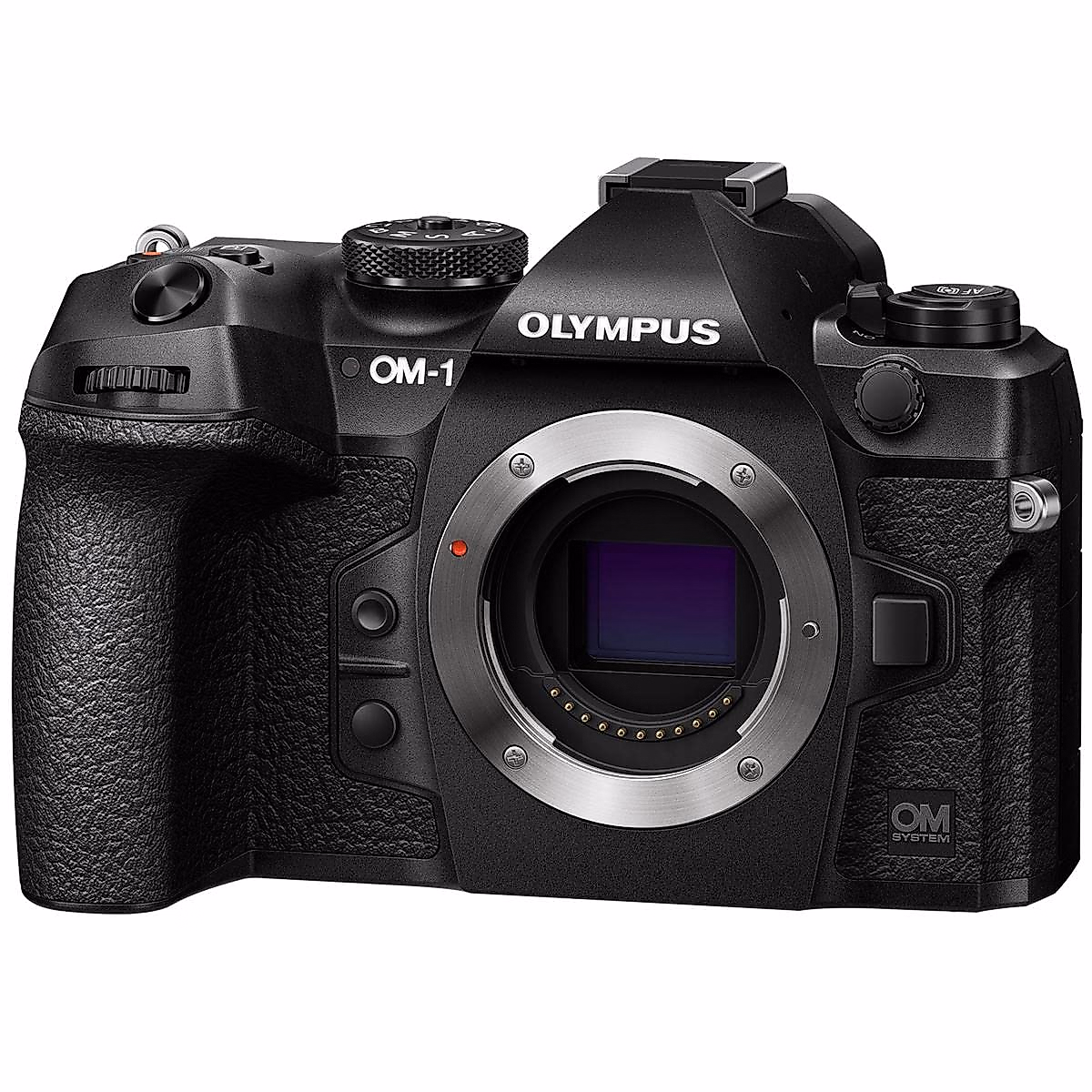 OM SYSTEM OM-1 Mirrorless Camera with OM SYSTEM M.Zuiko Digital ED 40-150mm f/4.0 Pro Lens