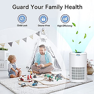 Air Purifiers for Home Large Room Up to 1345 Ft², Tailulu H13 True HEPA Air Filter Purify Smoke Pollen Pet Dander Dust Smell for Bedroom, Kitchen, Air Cleaner with Replacement Filter