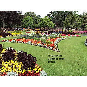 Mouse-Mix Natural Pest Deterrent Critter Crumbs with Super Pest Power for Outdoor Lawn and Garden Rodent Repellent Mice Mouse Rat Rabbit and Deer Control