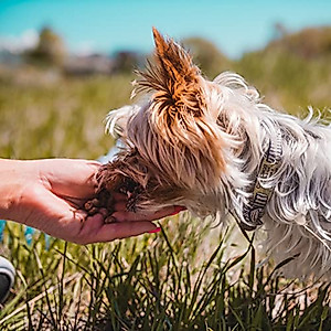 Pupford Freeze Dried Dog Training Treats, 475+ Puppy & Dog Treats, Low Calorie, Vet Approved, All Natural, Healthy Training Treats for Small to Large Dogs (Rabbit)