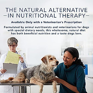 Blue Buffalo Natural Veterinary Diet NP Novel Protein Dry Dog Food, Alligator 22-lb bag