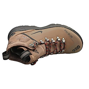 Nike Mens ACG Zoom Gaiadome DD2858 200 - Size 9.5