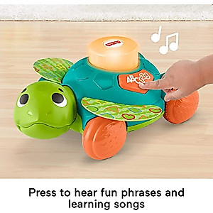 Fisher-Price Linkimals Baby & Toddler Toy Sit-To-Crawl Sea Turtle With Interactive Lights Music And Rolling Motion For Ages 9+ Months