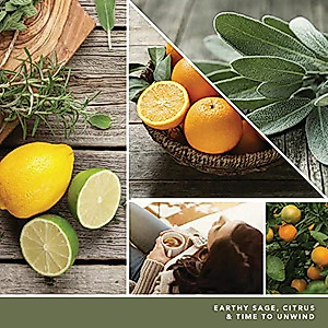 Yankee Candle Studio Medium Candle, Sage & Citrus, 10 oz: Long-Lasting, Essential-Oil Scented Soy Wax Blend Candle | 40-65 Hours of Burning Time