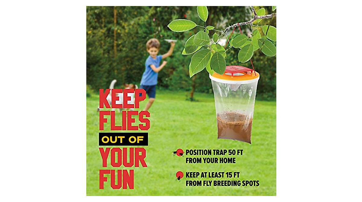 Effective Redtop Flycatchers - Non-Toxic Disposable Traps