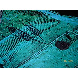 DENNIS OPPENHEIM ORIG LTD ED SIGNED & DESIGNATED Feather Ridge