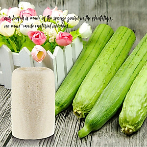 MAYMII·Home 100% Large (5" Length) Nature 6 Pack of Organic Loofahs Loofah Spa Exfoliating Scrubber Natural Luffa Body Wash Sponge Remove Dead Skin Made Soap