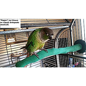 Polly's Sand Walk Orthopedic Bird Perch, Large