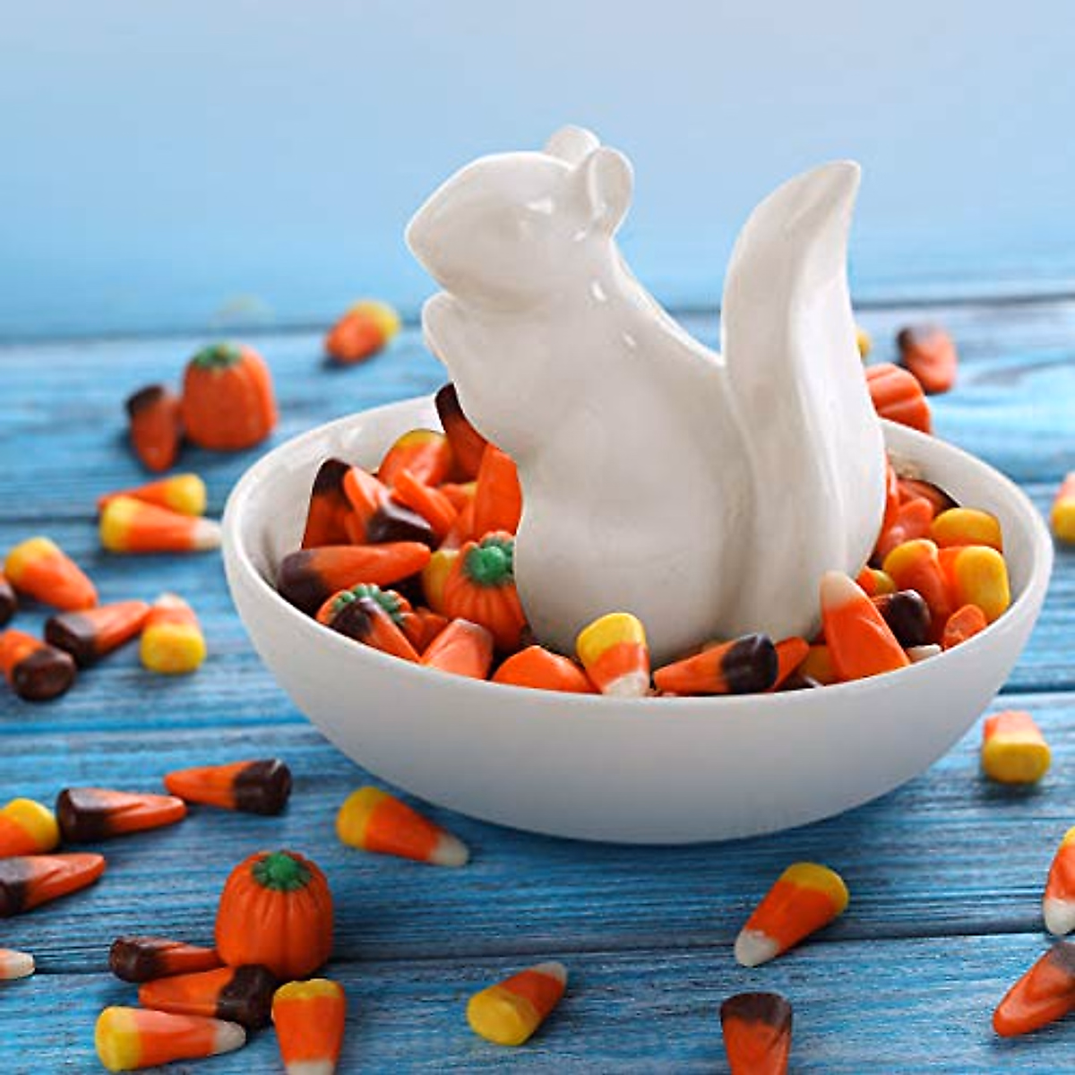 LA JOLIE MUSE Nut Bowl Snack Serving Dish - Ceramic Squirrel Candy Jewelry Dish for Pistachio Peanuts, House Warming Hostess Gifts