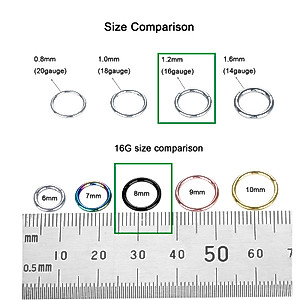 Xpircn 5PCS 16G Stainless Steel Nose Rings Hoop Hinged Segment Septum Clicker Daith Tragus Helix Cartilage Earrings Piercing for Women Men (Mixed Color, 16g 8mm, 5PCS)