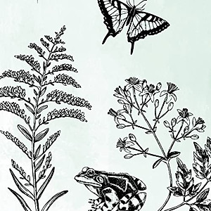 The Wildlife Gardener's Almanac: A seasonal guide to increasing the biodiversity in your garden