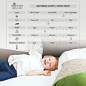 Pizuna 100% Cotton Split King Sheet Set Sky Blue, 600 Thread Count Long Staple Cotton Sateen Weave Split King Sheets for Adjustable Bed, 15" Deep Pocket Sheets (Combed Cotton Bed Sheets - 5PC)