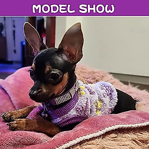 2 Pieces Small Dog Sweaters Chihuahua Fleece Clothes XXS~S Winter Warm Puppy Sweaters Boys Girls Tiny Dog Outfits for Teacup Yorkie Puppies Extra Small Breed Costume (XX-Small)