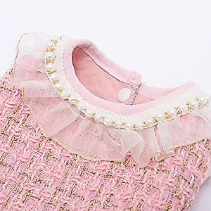 Dog Plaid Dress Lace Tulle Tutu Princess Skirt with Pearls Accessory for Small Girl Dogs Christmas Holiday Wedding Birthday Party (Pink, S)