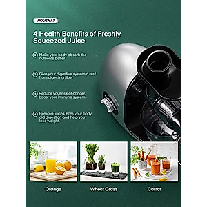Slow Juicer Machines, HOUSNAT Cold Press Juicer Extractor for Fruits & Vegetables Easy to Clean, 2-Speed Mode with Quiet Motor & Reverse Function, Slow Masticating Juicer with Recipe (Silver Gray)