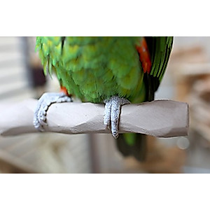 Geo NU Perch® for African Grey, Amazon, Cockatoo, Eclectus
