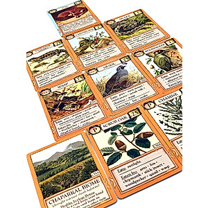 Montrose Biology Ecologies: Bizarre Biomes - Use Science to Build Food Webs in 7 Biomes - Beautiful Vintage Nature Art for The Classroom or Game Night