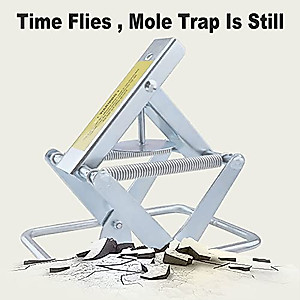 2 Pcs Mole Traps,Galvanized Steel Mole Scissor Trap,Reusable Mole Gopher Traps,Mole Killer,Easy Set Mole Eliminator Trap for Lawns