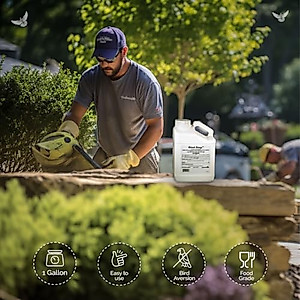 Bird Repellent, Bird Stop