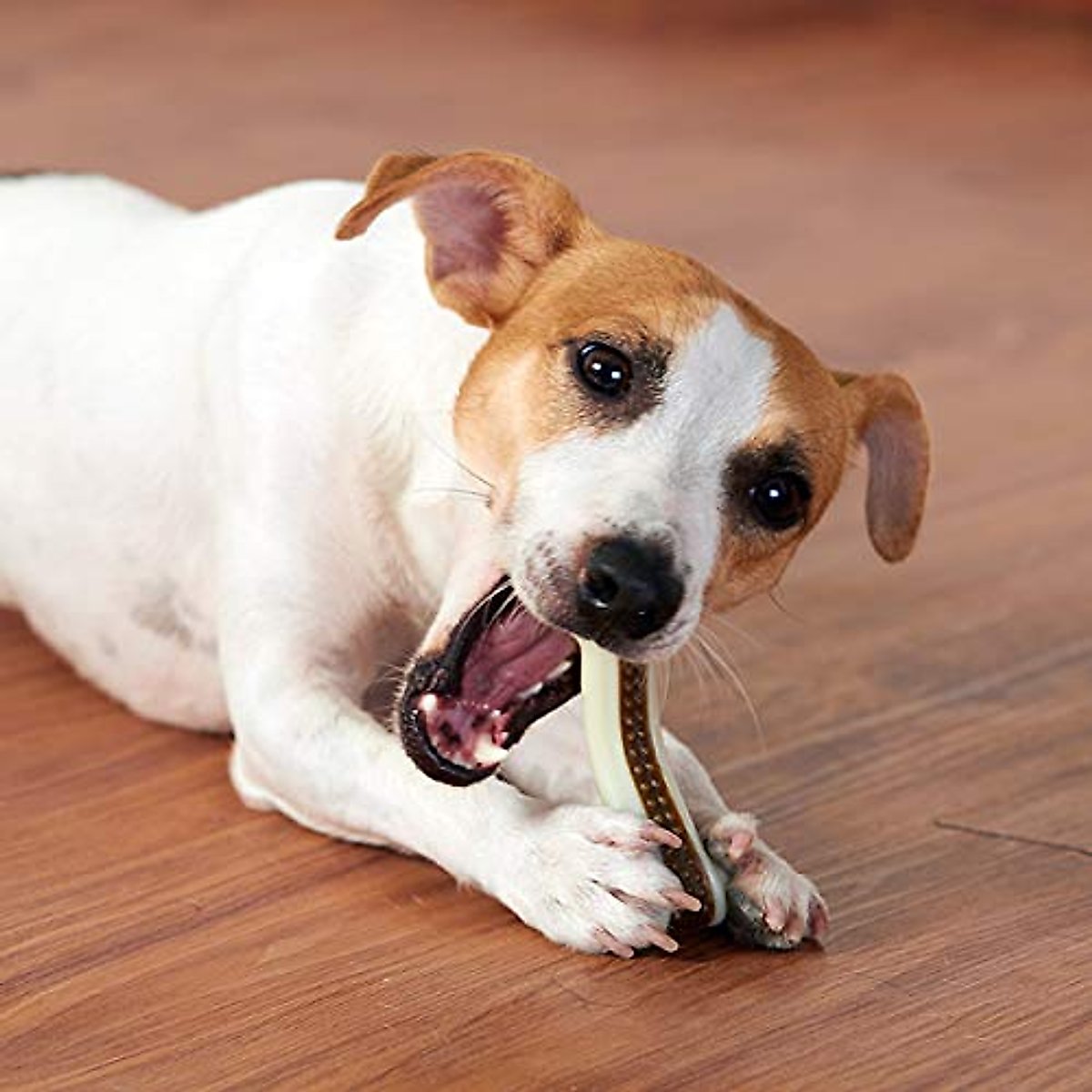 BETTEPROD Dog Chew Toys for Aggressive Chewers Large Breed,2 Pack Beef Flavor Indestructible Dog Teething Chew Toys Bones for Large/Medium/Small Puppies,Pet Toy with Durable Nylon