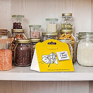 Kitchen Pantry Moth Traps - Prime Pantry Moth Traps with pheromones, Pet Safe Pantry Moth Trap, Food Moth Traps with pheromones 6 Pack