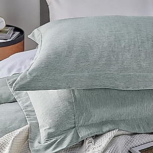 CozyLux Queen Size Comforter Set - 3 Pieces Sage Green Soft Luxury Cationic Dyeing Bedding Comforter for All Season, Breathable Lightweight Fluffy Boho Bed Sets with 1 Comforter and 2 Pillow Shams