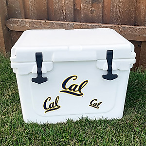 Desert Cactus University of California Berkeley Sticker Golden Bears Cal UC Vinyl Decals Laptop Water Bottle Car Scrapbook T3 (Type 3-2)