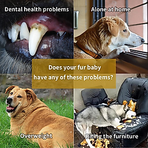 Fenice Dog Toys 2-Pack Set, Squeaky Plush Dog Toys, Puppy Chew Toys for Teething, Durable Interactive Dog Rope Toy Stuffed Elephant & Lion for Aggressive Chewers, Tug of War Plush Dog Toys