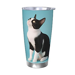 EKPRAVDKTF Cat 20oz Insulated Stainless Steel Tumbler With Lids And Straws, Double Wall Vacuum Travel Coffee Mug, Thermal Cup For Cold & Hot Drinks, Reusable Metal Straw & Brush