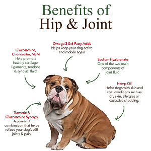 Veterinary Naturals Hip & Joint Supplement for Dogs - 60 Soft Dog Chews for Hip & Joint Support - Dog Vitamins and Supplements with Glucosamine for Dogs & MSM - Grain-Free, Roasted Chicken Flavor