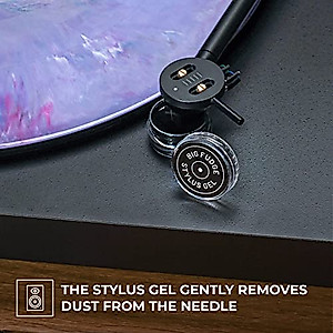 Big Fudge Professional Series Vinyl Record Cleaning Kit - 5-in-1- Includes Velvet Vinyl Cleaner Brush, Cleaning Fluid, Stylus Gel, Brush for Velvet, Padded Storage Case