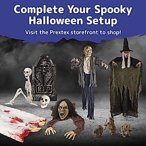 Prextex Skeleton Halloween & Day of The Dead Decoration for Home and Office - 19 Inch Posable Plastic Small Skeleton Toy Halloween Décor with Movable / Bendable Joints and 2 Sets of Body Accessories