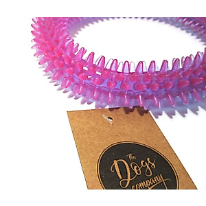The Dogs Company Rubber Dental Puppy Teething Spike Ring Chew Toy, 6 inches, Colour May Vary