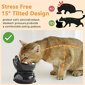 Elevated Cat Bowls, 15° Tilted Raised Cat Food Bowl Anti-Vomiting,Whisker Friendly, Cat Dishes for Protecting Spine (Black)