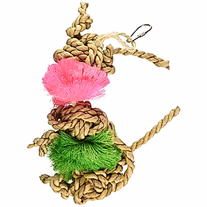 Prevue Pet Products Tropical Teasers Triple Play Bird Toy, Multicolor (Model: 62461)