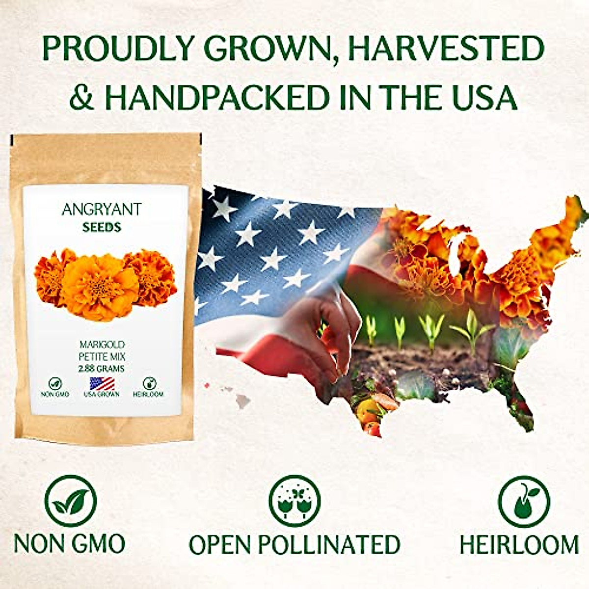 Marigold Petite Mix Seeds - 999+ Heirloom Flower Seeds for Planting Indoors and Outdoors in Your Home Garden - Non GMO, USA Grown - Annual, Open Pollinated Wildflower Seeds Bulk for Companion Planting