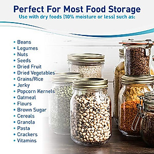 Oxygen Absorbers for Mylar Bags or Vacuum Sealer Bag Food Storage (100cc - Qty 100)