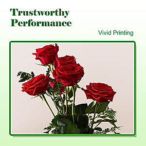 125A Toner Cartridges 4-Pack Replacement for HP Color CP1215,CM1312nfi,CM1312 MFP,CP1518ni ,CP1515n Printer Ink (Black,Cyan, Magenta, Yellow)